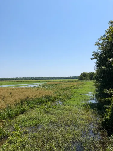 Best Hikes and Trails in Bayou Cocodrie National Wildlife Refuge ...