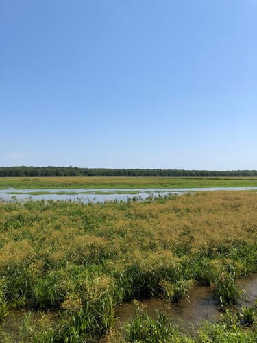 Best Hikes and Trails in Bayou Cocodrie National Wildlife Refuge ...