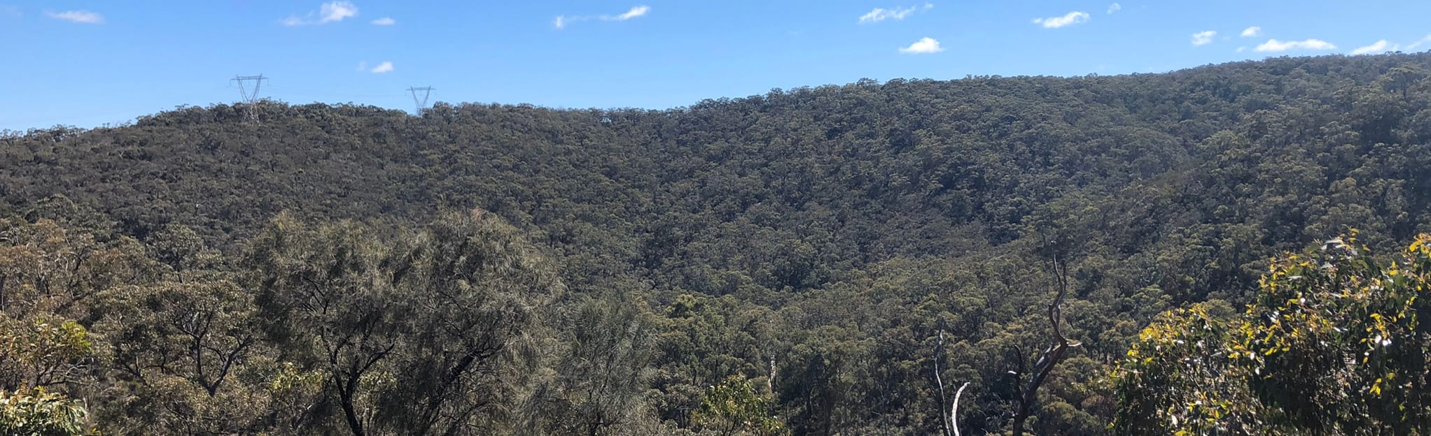 Waterfall Gully Trail Loop: 69 Reviews, Map - South Australia ...
