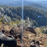 Round Mountain from South Trailhead, Oregon - 31 Reviews, Map | AllTrails