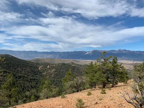 10 Best Off Road Driving Trails in Nevada | AllTrails