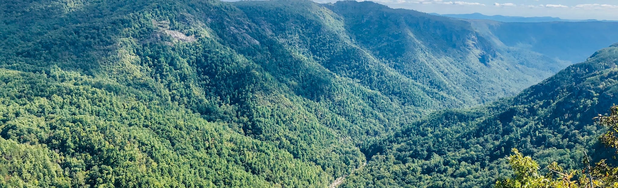 Wiseman's View Trail, North Carolina - 415 Reviews, Map | AllTrails