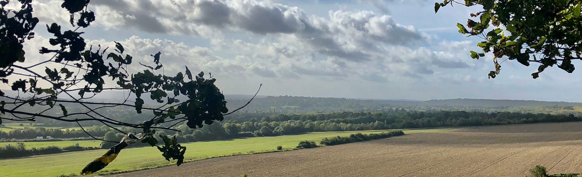 Caterham to Chelsfield: 294 Fotos - Surrey, England | AllTrails