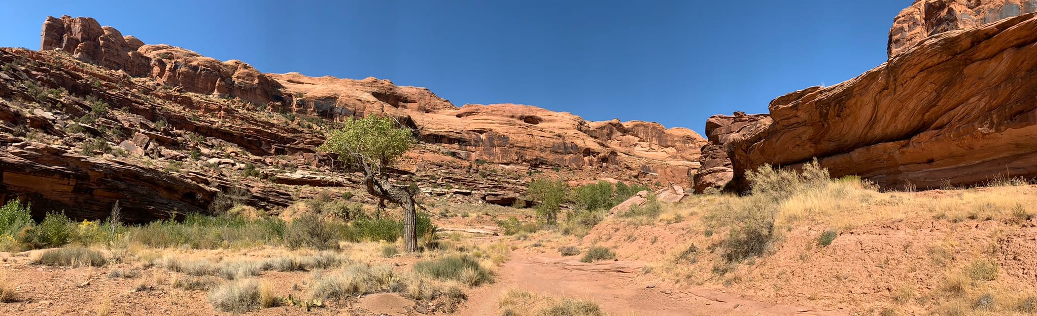 Courthouse Wash, Utah - 41 Reviews, Map | AllTrails