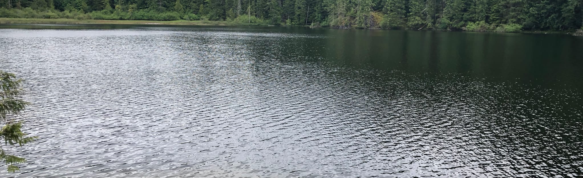 Emily Lake Trail System, British Columbia, Canada - 25 Reviews, Map ...