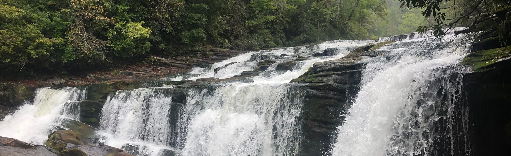 Foothills Trail Round Top Loop | Map, Guide - South Carolina | AllTrails