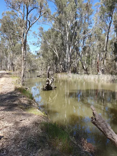 Best Hikes and Trails in Murray Valley National Park | AllTrails