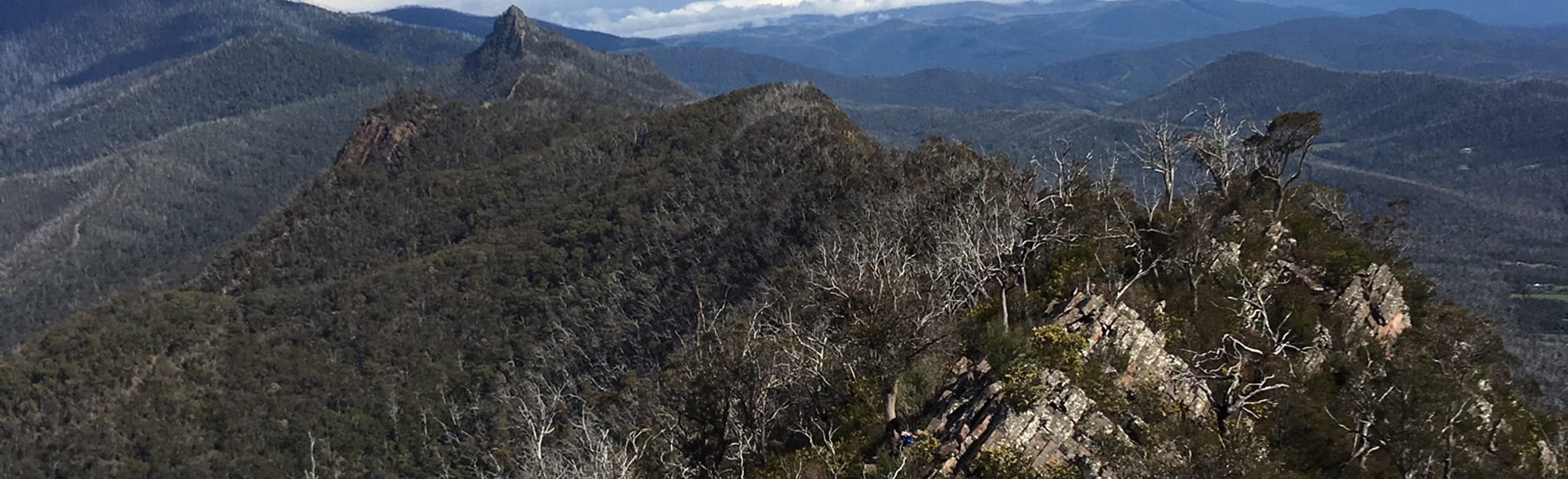 Ridge Track: 0 Reviews, Map - Victoria, Australia | AllTrails