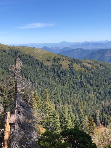 2023 Best 10 Moderate Trails in Williams | AllTrails