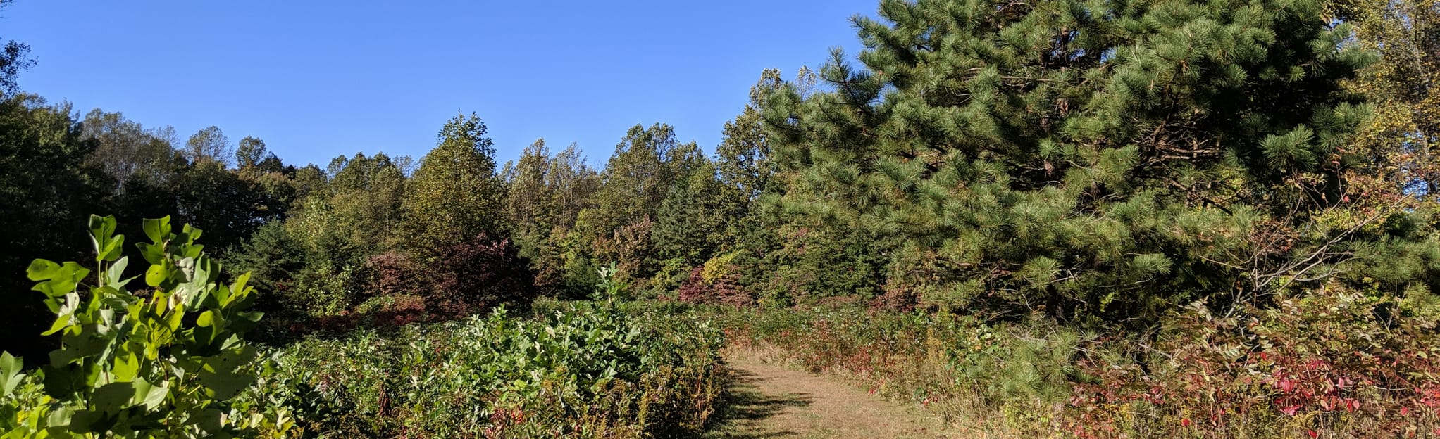 Hemlock, Fern and Creekside Meadows Loop, Ohio - 341 Reviews, Map ...