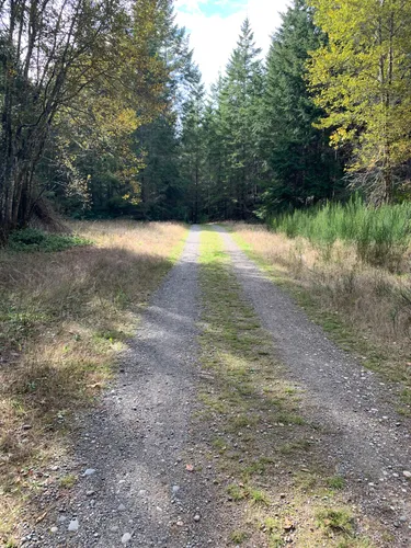 Best Hikes and Trails in Port Gamble Forest Heritage Park | AllTrails