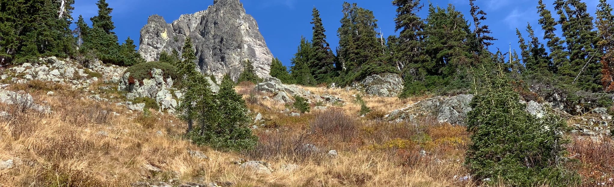 Hibox Mountain via Rachel Lake Trail: 501 foto's - Washington ...