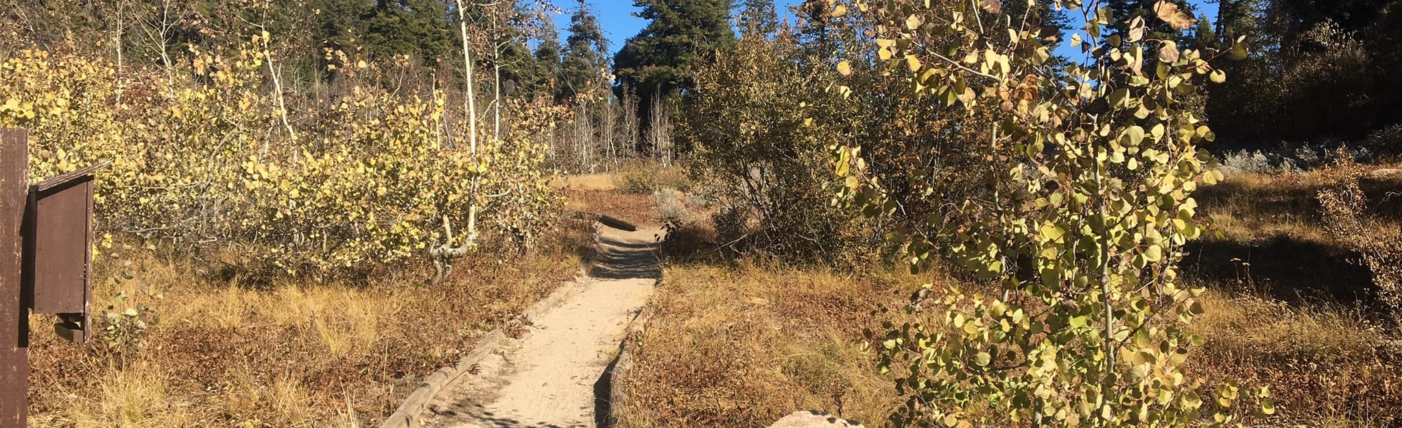 Bogus Basin Road to Mores Mountain, Idaho - 62 Reviews, Map | AllTrails