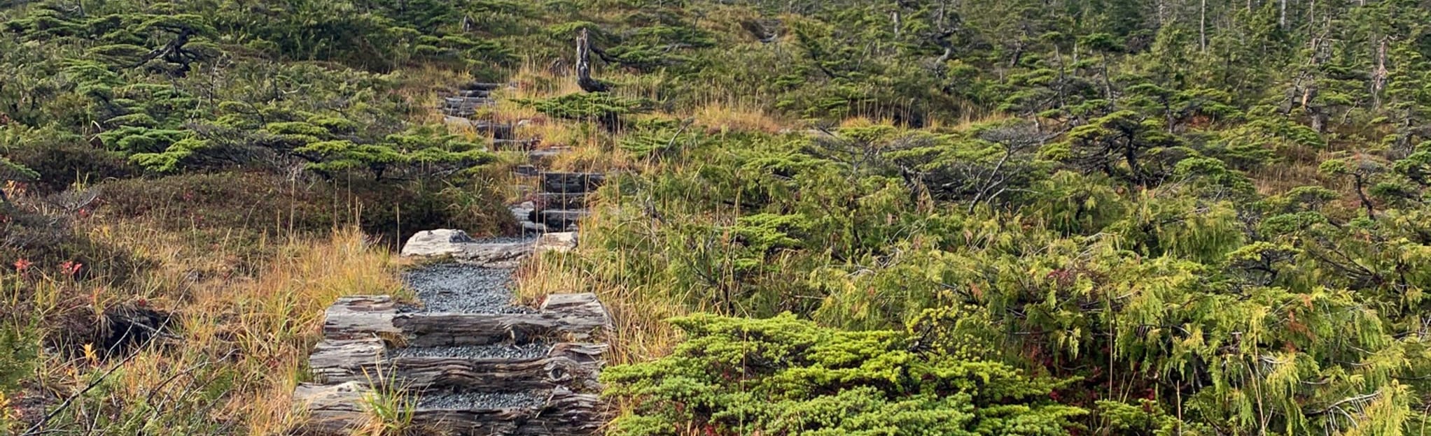 Mount Edgecumbe, Alaska - 30 Reviews, Map | AllTrails