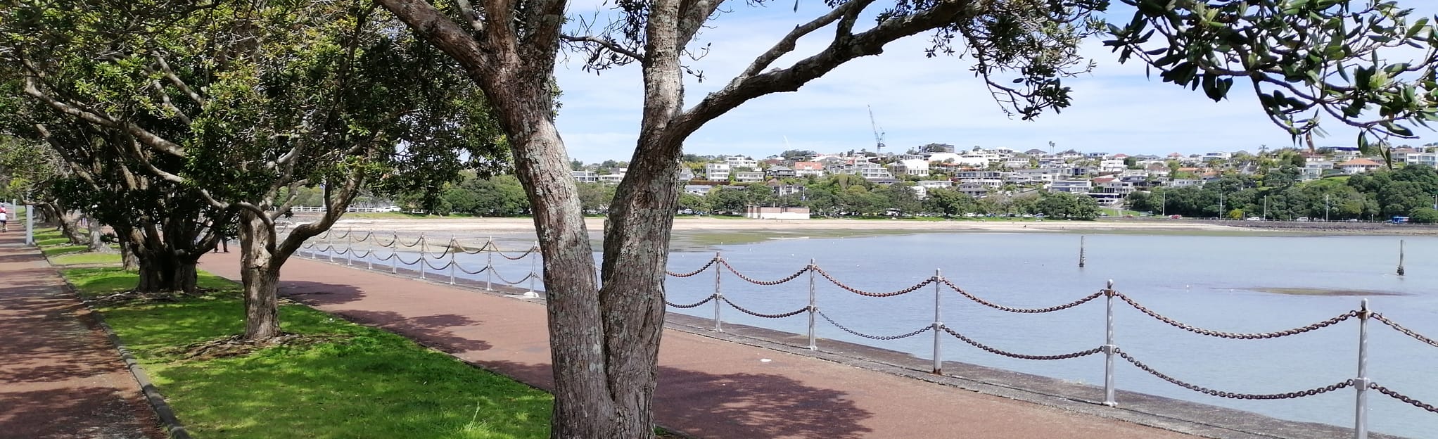 Tamaki Drive Cycleway, Auckland, New Zealand - 103 Reviews, Map | AllTrails