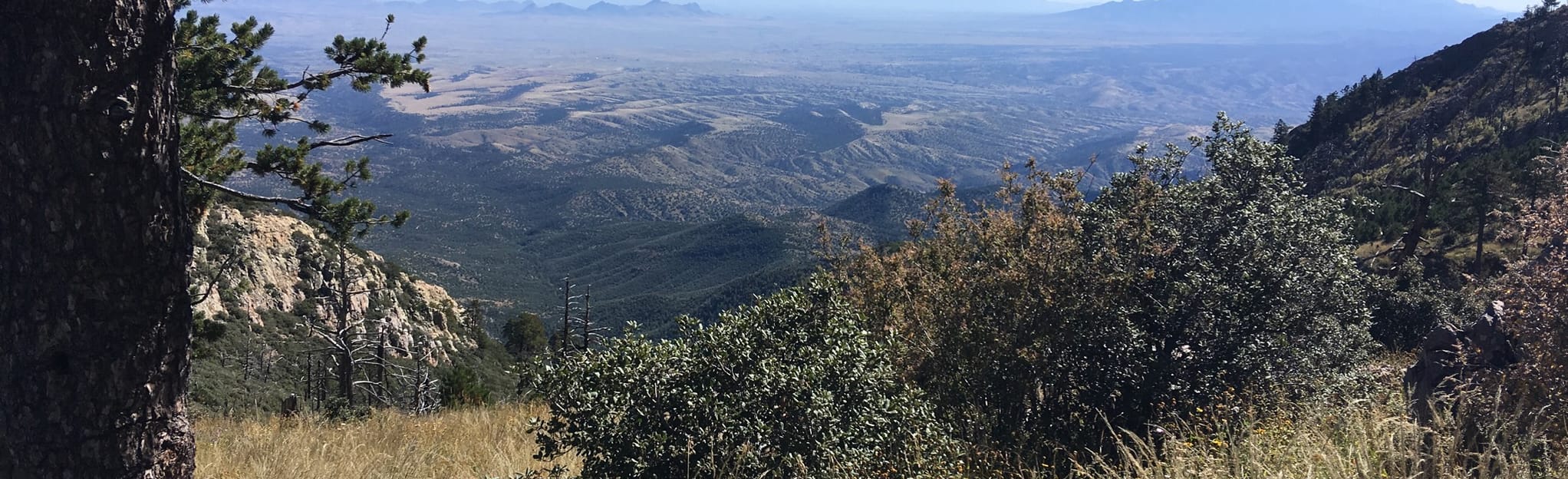 Mount Wrightson Loop, Arizona - 136 Reviews, Map | AllTrails