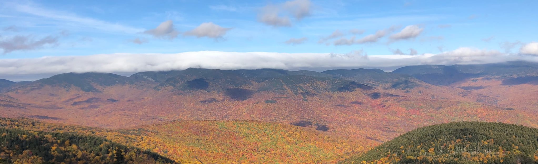 Sunday River Loop: 74 Reviews, Map - Maine | AllTrails
