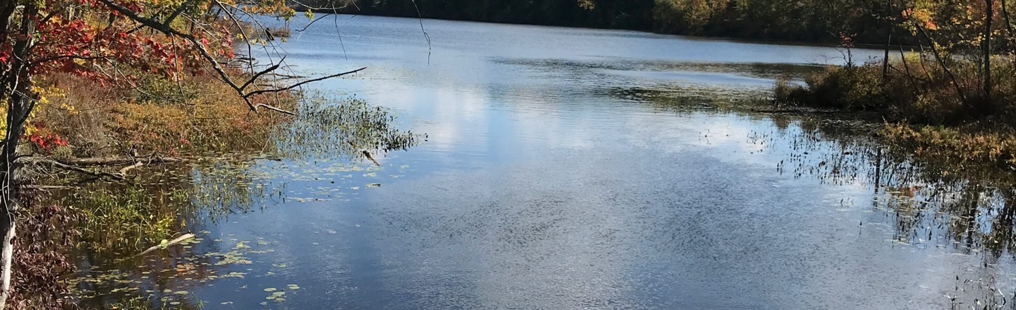 Watson Lake via Potawami Trail, Michigan - 57 Reviews, Map | AllTrails