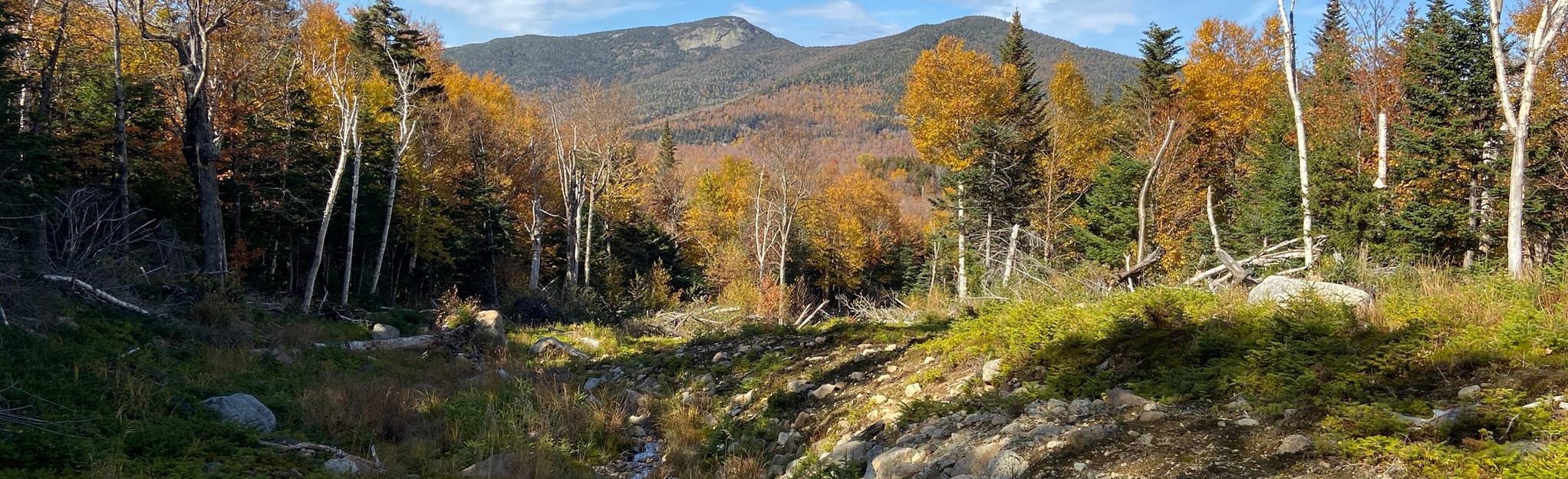 Lower Wolf Jaw via Phelps Trail: 104 Reviews, Map - New York | AllTrails