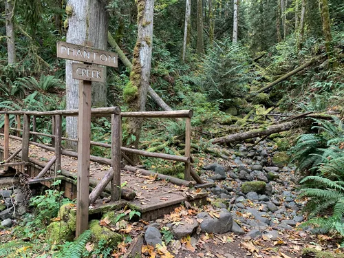 Best Hikes and Trails in Dosewallips State Park | AllTrails