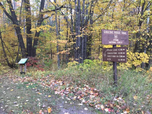 Best 10 Hikes and Trails in Ottawa National Forest | AllTrails