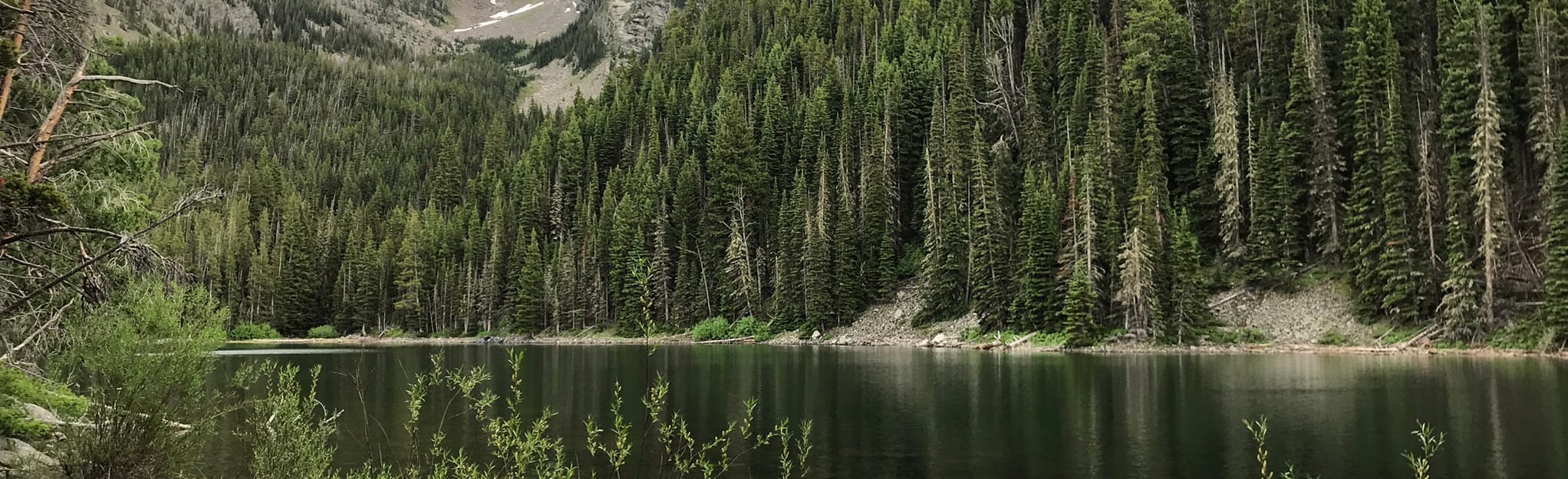 George Lake Trail No. 184: 18 Reviews, Map - Montana | AllTrails