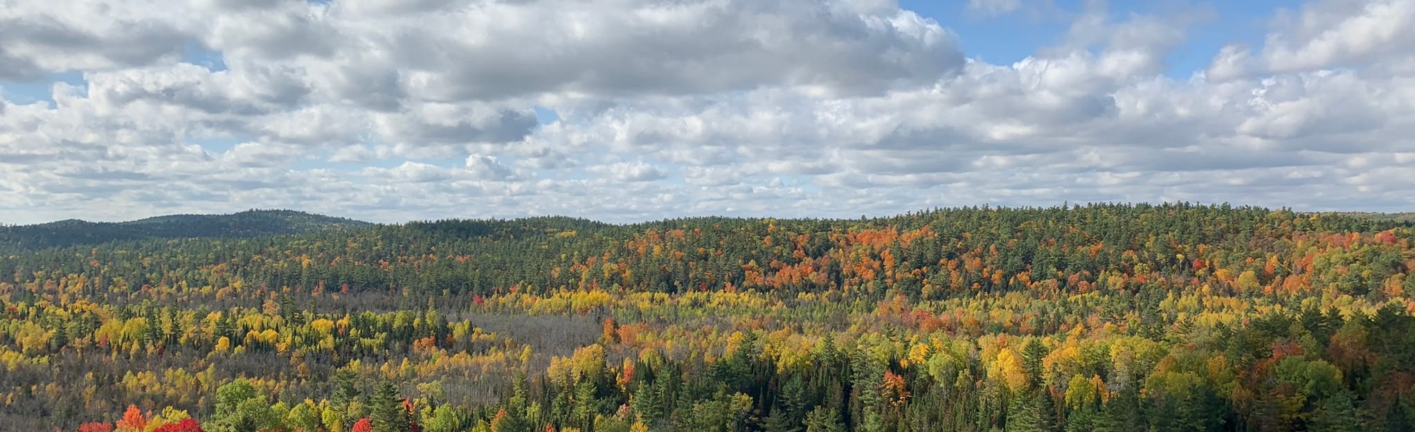 Manitou Mountain, Eagles Nest and Juniper Ridge Lookout: 163 Reviews ...