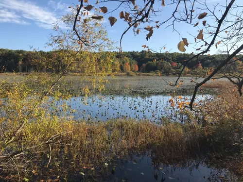 10 Best Hikes and Trails in Pinckney Recreation Area | AllTrails