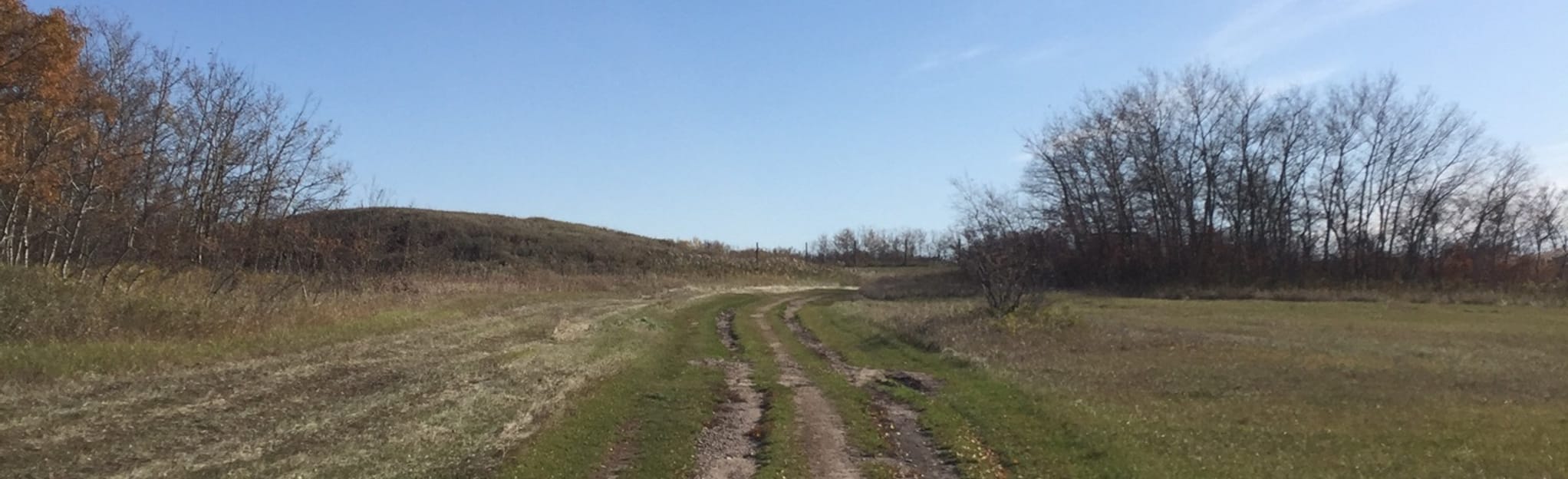 Mink and Ski Trail Loop: 43 Reviews, Map - Saskatchewan, Canada | AllTrails