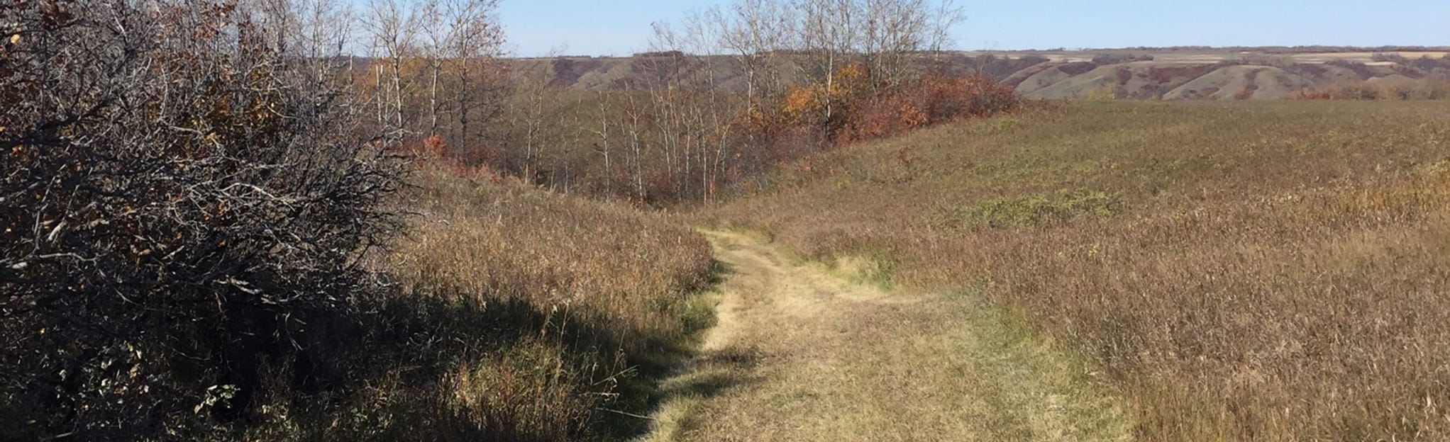 Fox Trail via Ski Trail, Saskatchewan, Canada - 22 Reviews, Map | AllTrails