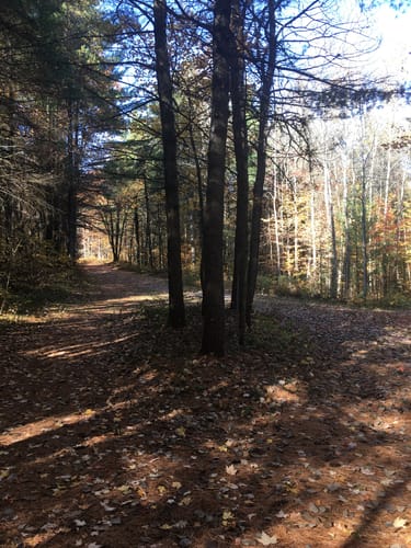 Trois-Rivières : les 10 meilleures randonnées et itinéraires en 2023 ...