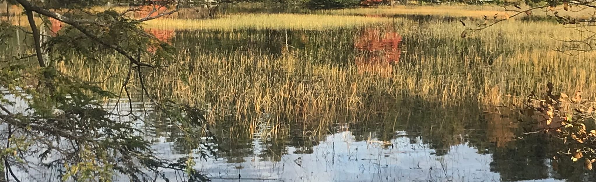 Butler Head Preserve, Maine - 96 Reviews, Map | AllTrails