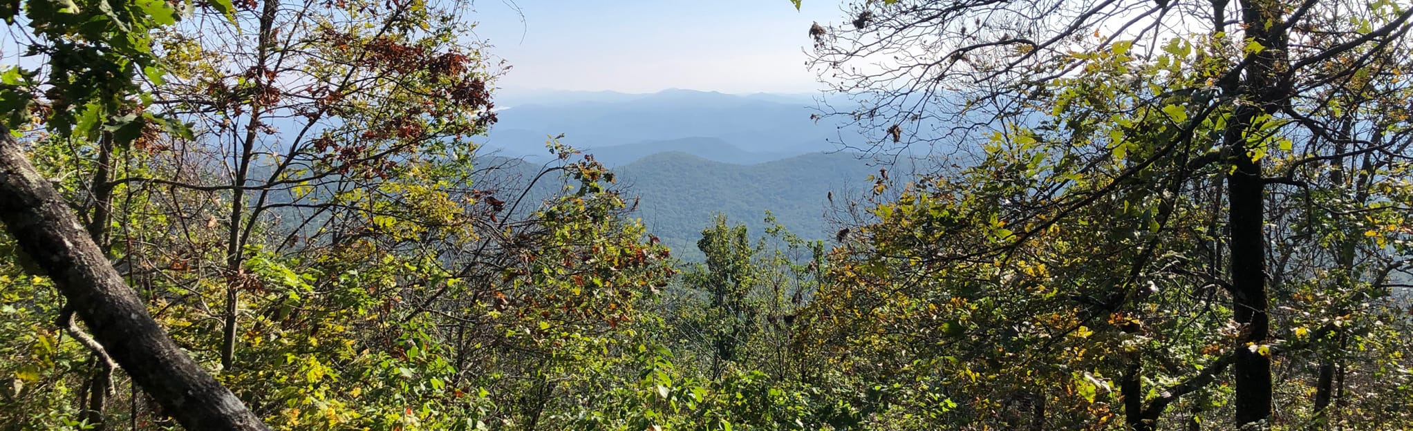 Appalachian Trail: Dick’s Creek Gap to Addis Gap, Georgia - 101 Reviews ...