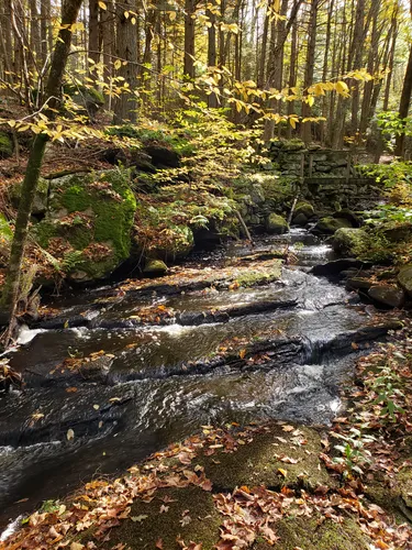 Best Hikes and Trails in Natchaug State Forest | AllTrails