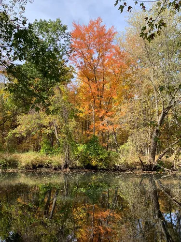 Best Hikes and Trails in Oxbow National Wildlife Refuge | AllTrails