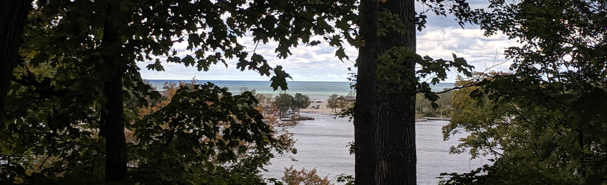 Sanctuary Woods Loop, Michigan - 291 Reviews, Map | AllTrails