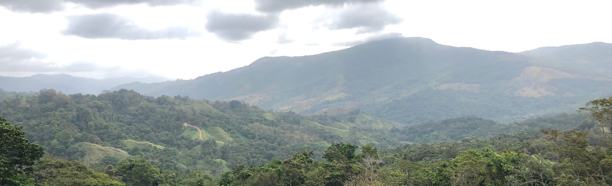 Kalu Yala - Cerro Azul: 28 foto's - Panama City, Panama | AllTrails