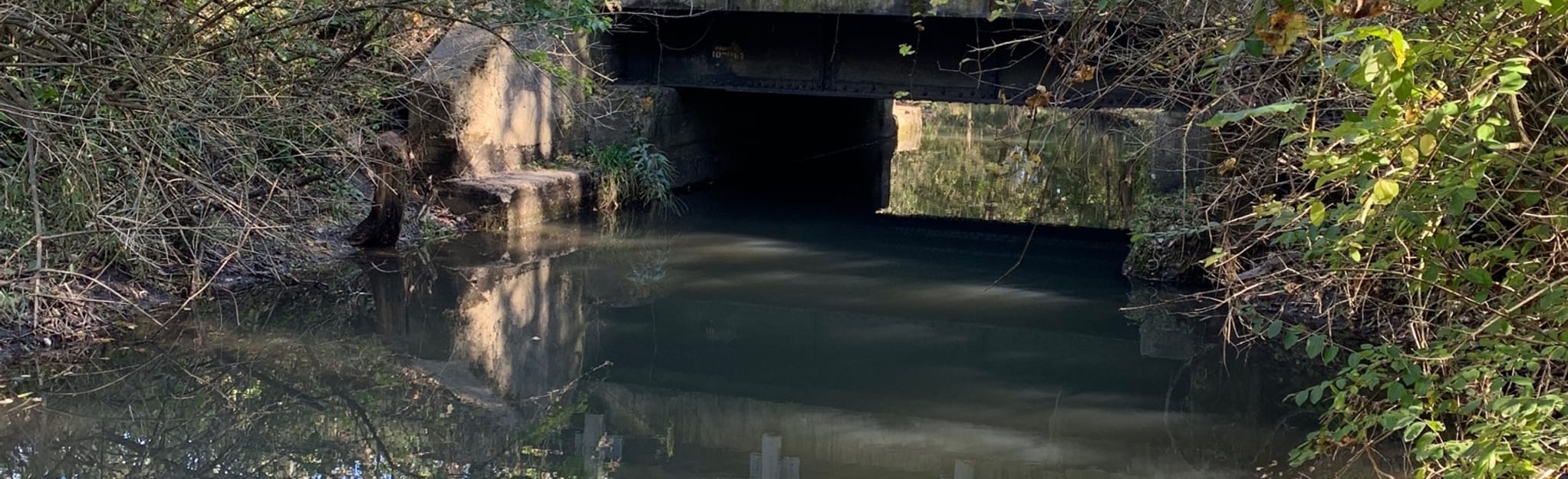 AllTrails | Wauponsee Glacial Trail: Symerton Road Access to Forked ...
