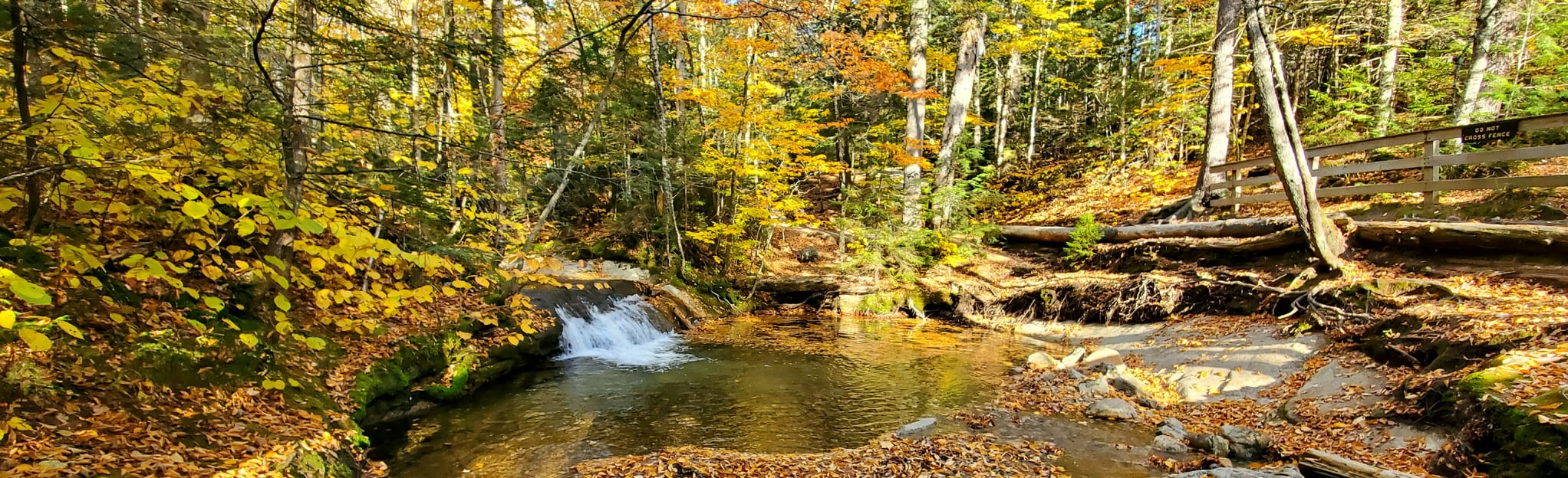 Basin Cascade Trail, New Hampshire - 1,331 Reviews, Map | AllTrails