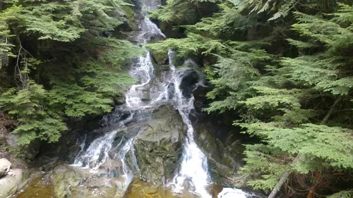Best Hikes and Trails in Capilano River Regional Park | AllTrails Best Hikes and Trails in Capilano River Regional Park | AllTrails