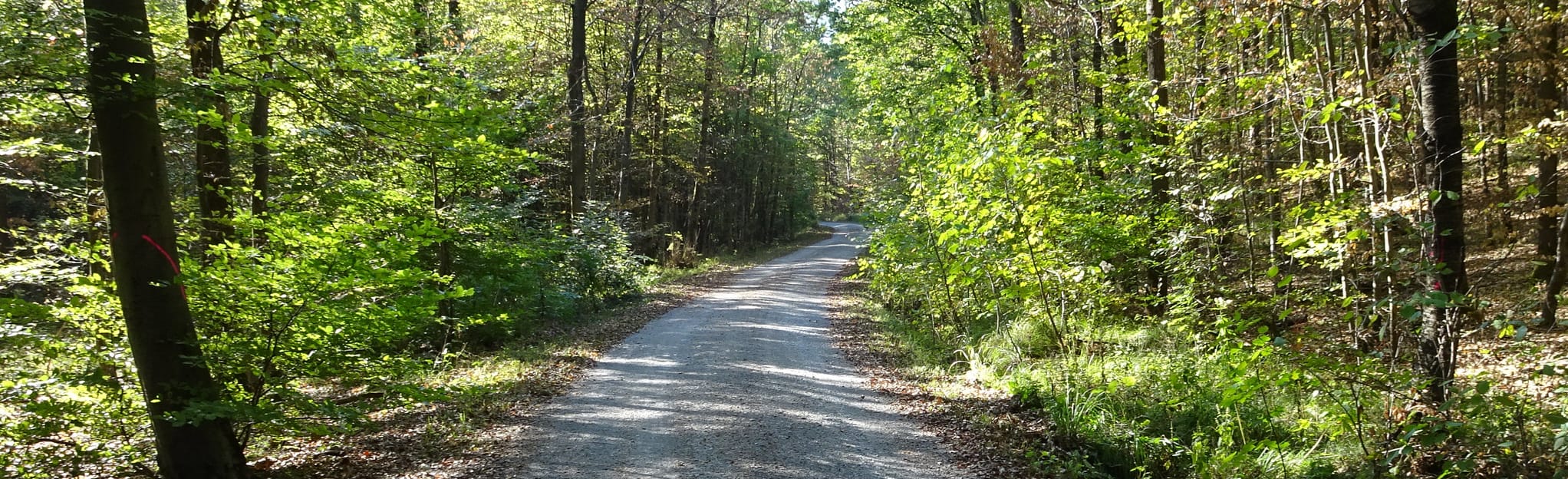 Zaberfeld Trail: 45 foto's - Baden-Württemberg, Duitsland | AllTrails