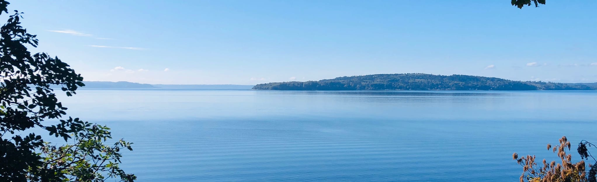 Marine View Park Loop Trail: 421 Reviews, Map - Washington | AllTrails