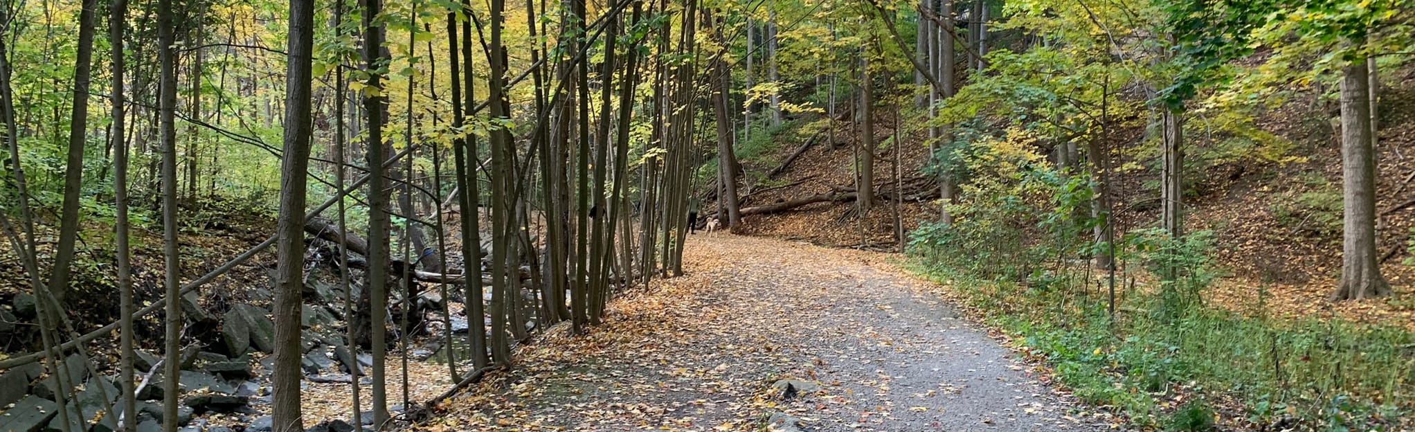 Newtonbrook Creek Pathway: 395 Reviews, Map - Ontario, Canada | AllTrails