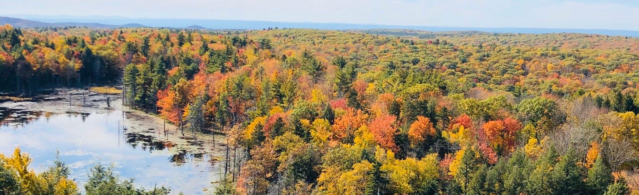 Fire Tower and Chet Bell Trail Loop, New York - 46 Reviews, Map | AllTrails