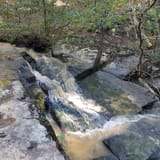 Mack's Pines East Side Loop, Arkansas - 30 Reviews, Map | AllTrails