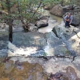 Mack's Pines East Side Loop, Arkansas - 30 Reviews, Map | AllTrails