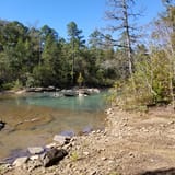 Mack's Pines East Side Loop, Arkansas - 30 Reviews, Map | AllTrails