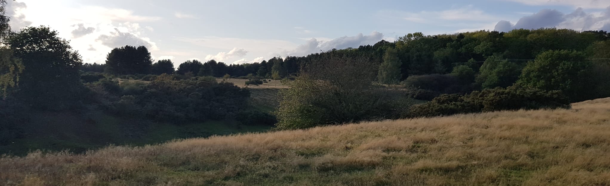 Maulden Woods and Pennyfather's Woods Circular, Bedfordshire, England ...