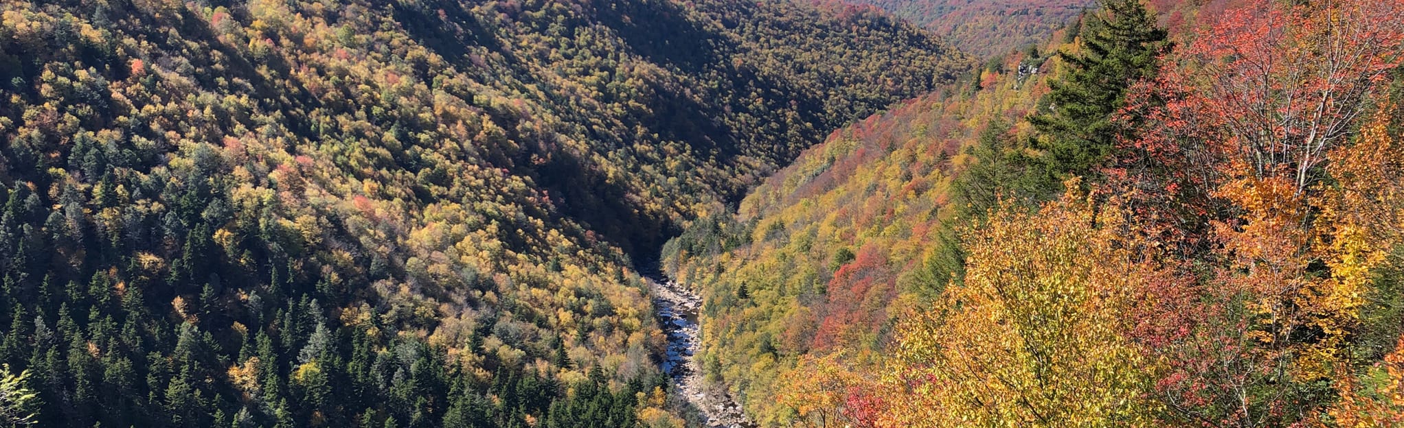 Pendleton Point Overlook Walking Path, West Virginia - 56 Reviews, Map ...
