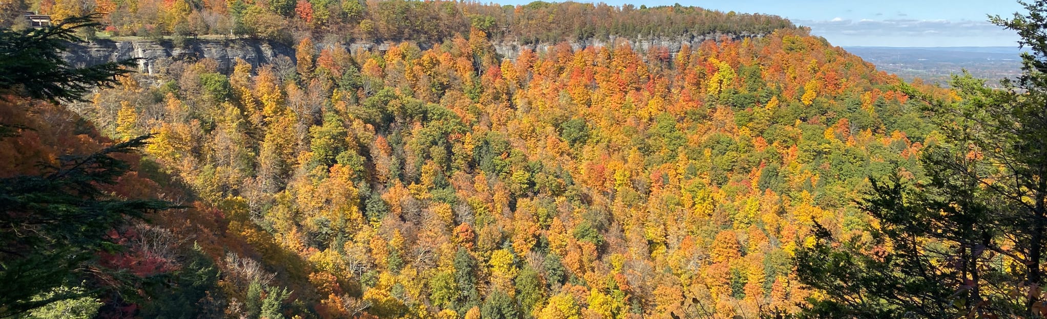Escarpment Trail, New York - 785 Reviews, Map | AllTrails